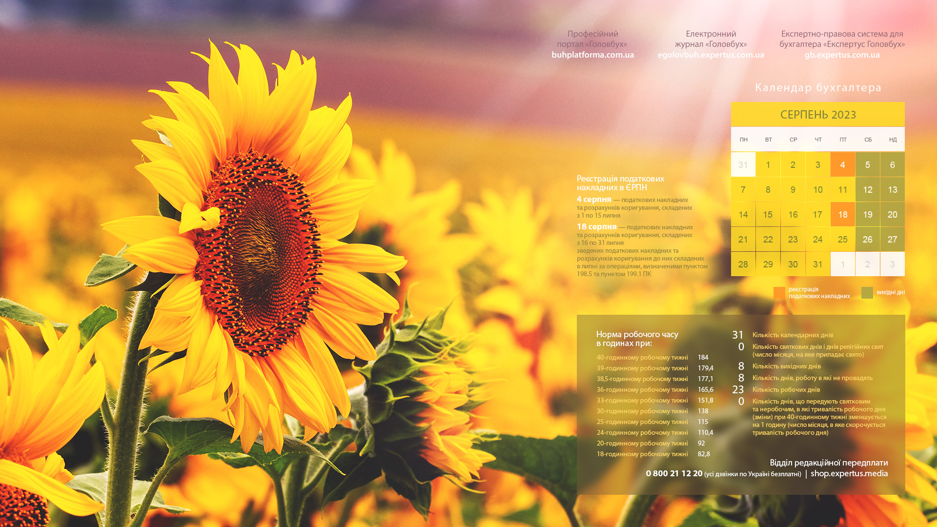 Заставки на робочий стіл з календарем робочого часу на серпень 2023 року